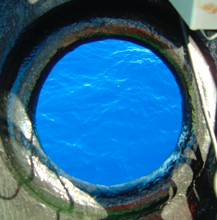 Do they really get it, or are they just giving me the correct answer? – Yacapaca